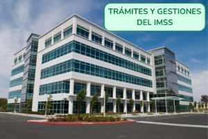 IMSS Trámites | Guías de ayuda 2025